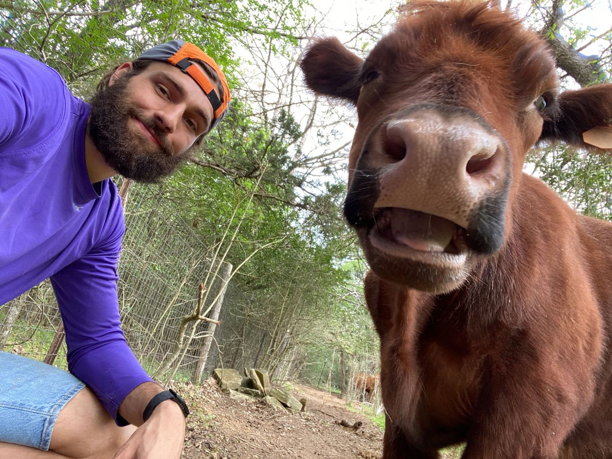 Austin Farm Sanctuary - My Dream for Animals